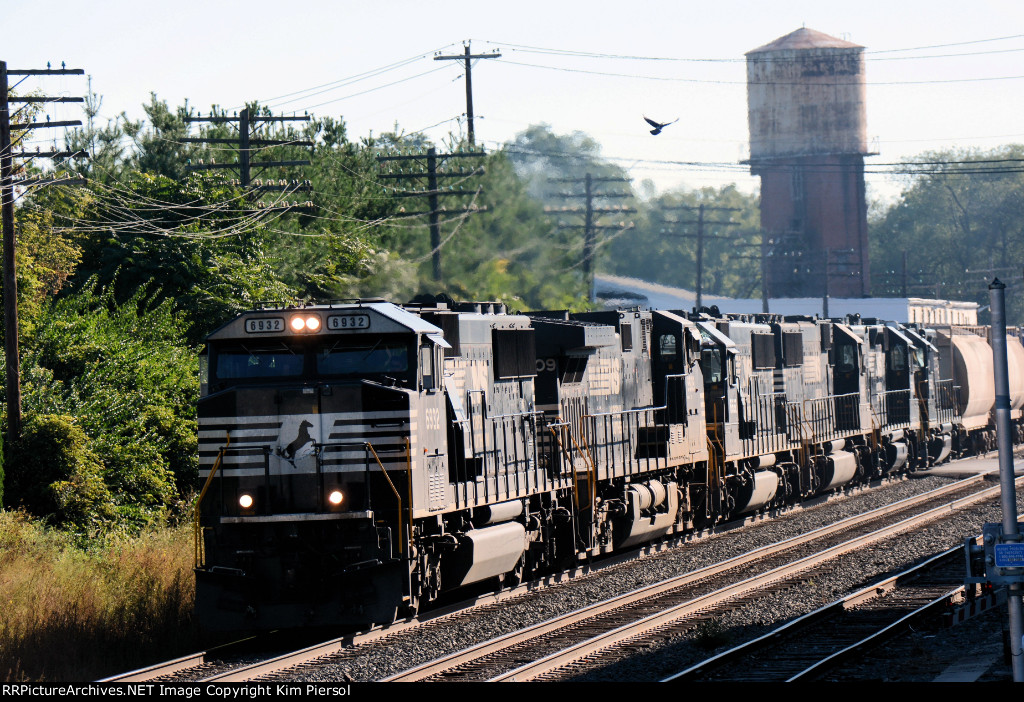 NS 6932 34A with Bird